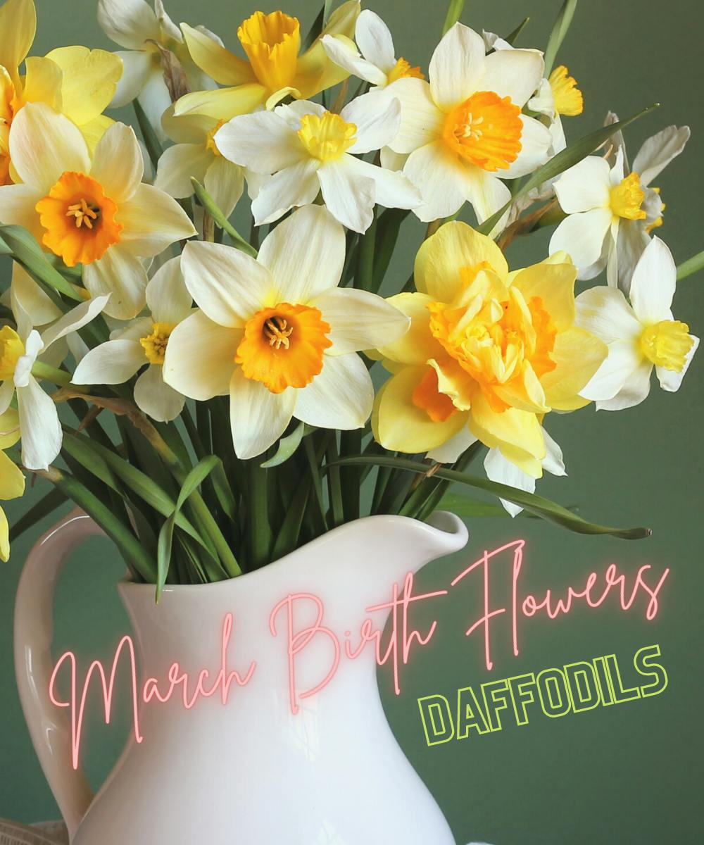 February Birth Month Blooms | Arnold (MD) Floral Delivery | WildFlower