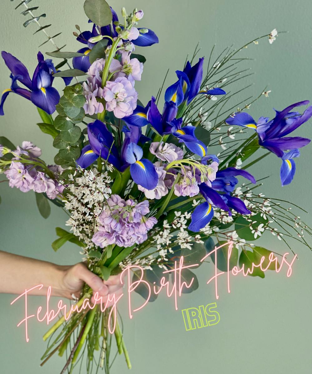 February Birth Month Blooms | Arnold (MD) Floral Delivery | WildFlower
