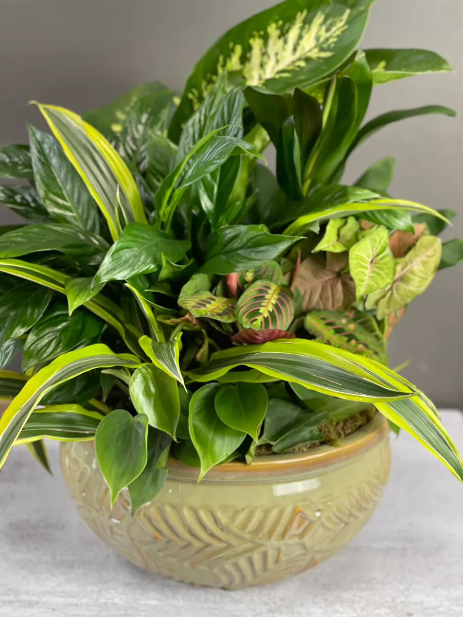Indoor Garden Planter | Arnold (MD) Plant Delivery | WildFlower