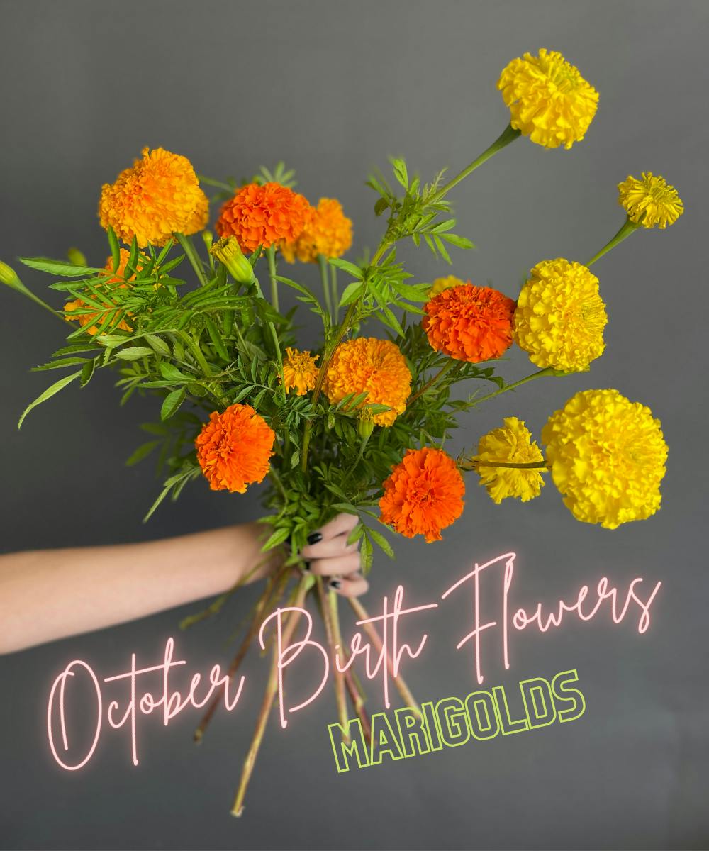 October Birth Month Blooms | Arnold (MD) Floral Delivery | WildFlower